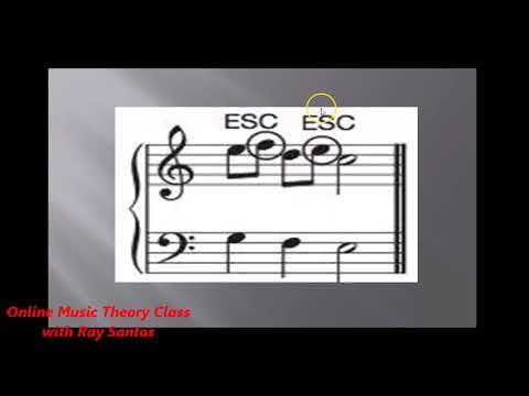 Escape Tone ( Online Music theory no.5 ) - YouTube