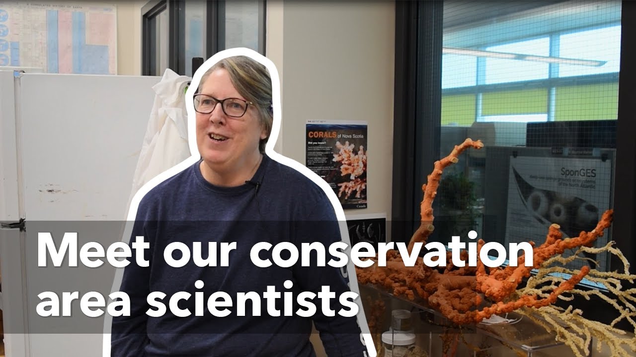Meet scientists who work in conservation areas! - YouTube