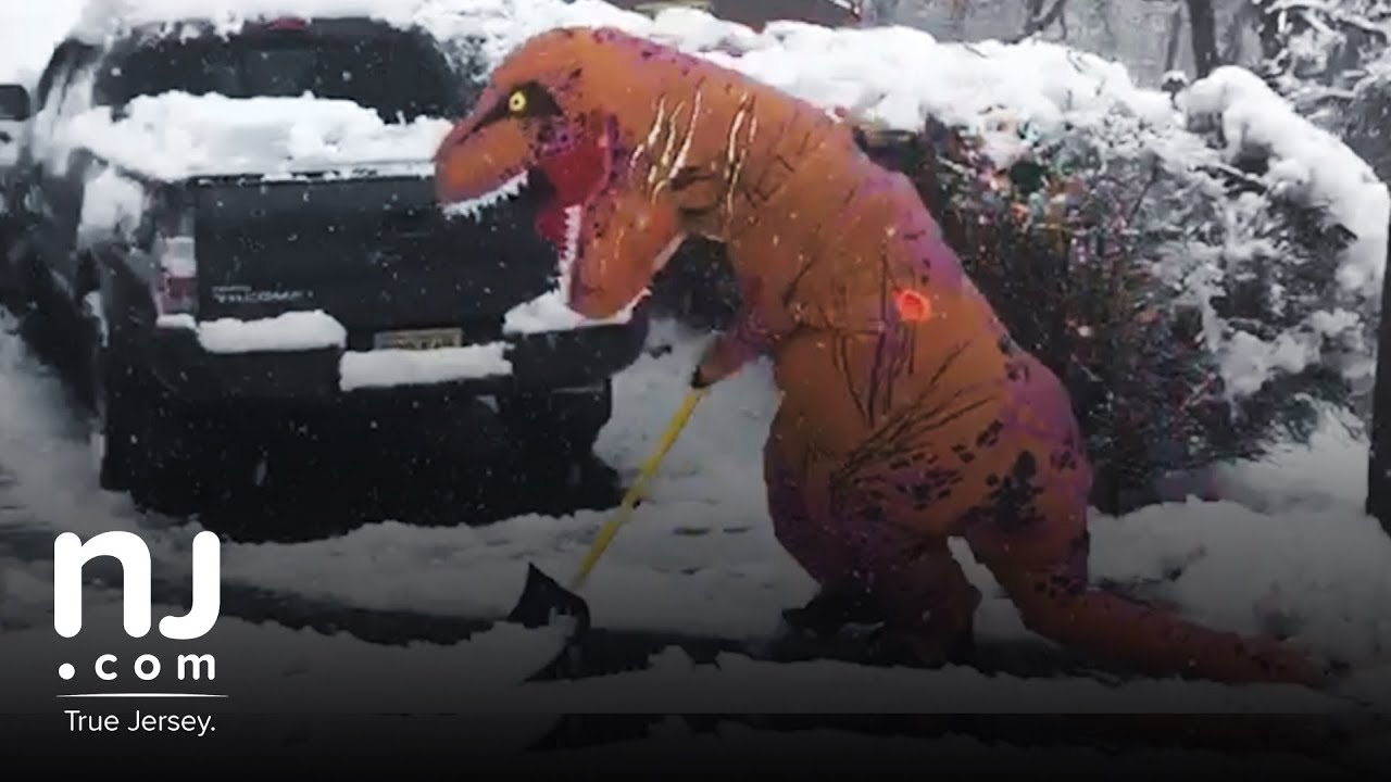 T. Rex shovels snow in New Jersey - YouTube
