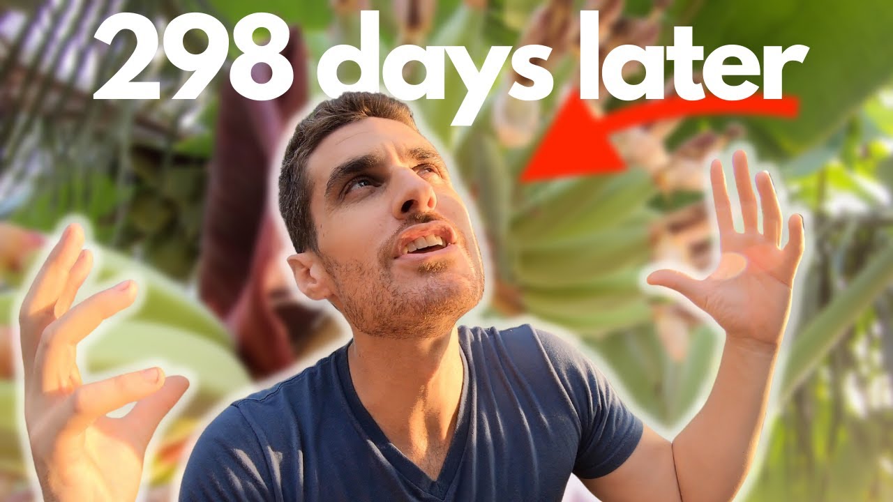 298 Days Later in Vietnam I have this! - YouTube