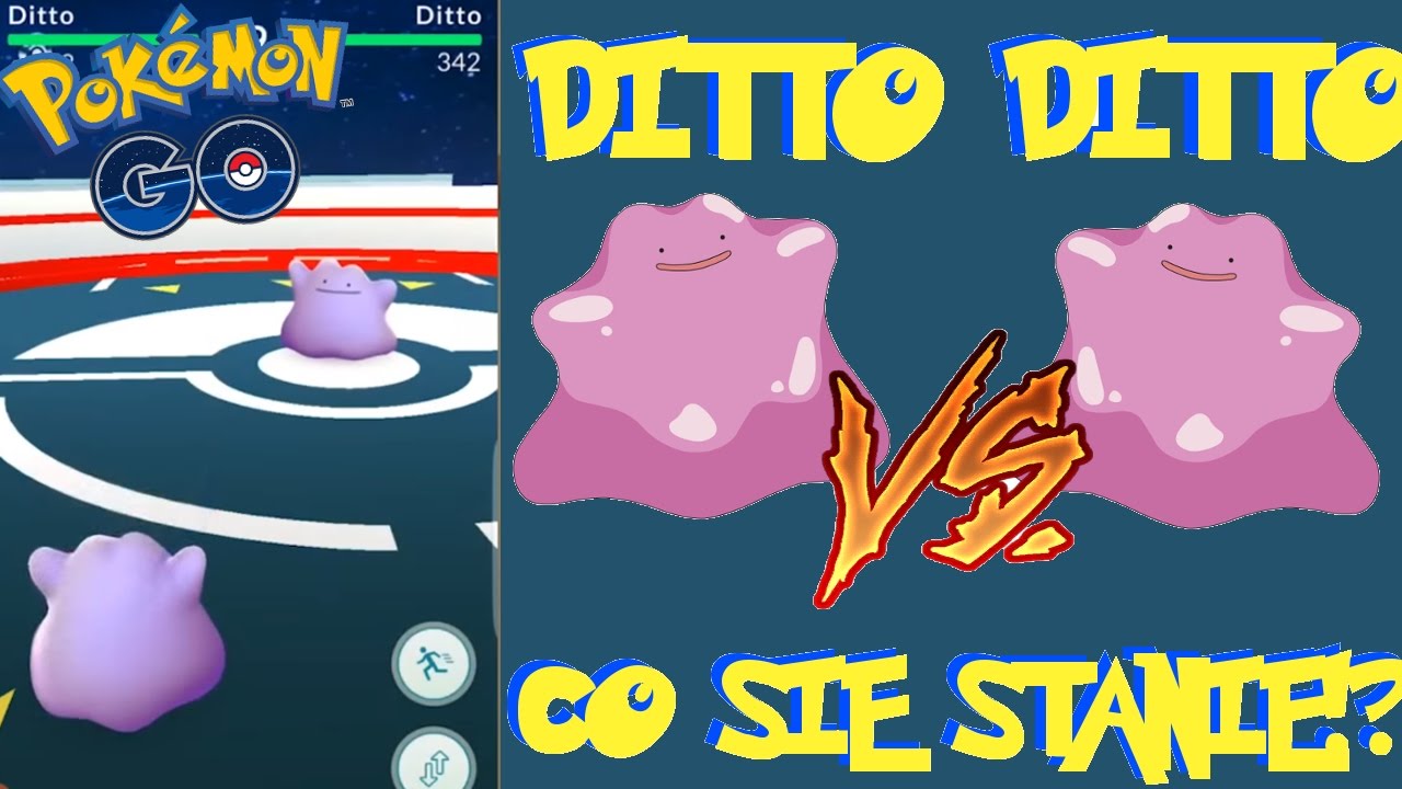 DITTO VS DITTO W GYMIE W POKEMON GO !! CO SIĘ STANIE !? - YouTube