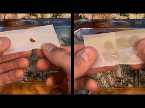 CBD INFUSED PAPER THC WEED ROLL - YouTube