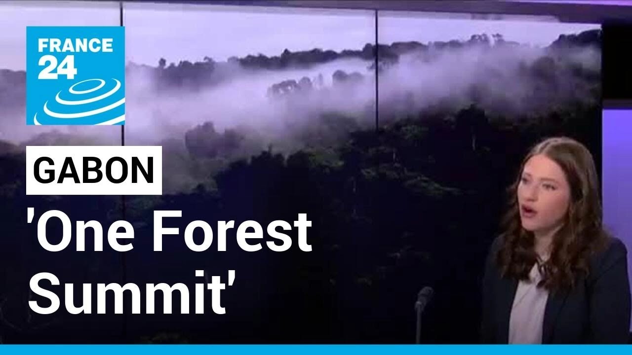 'One Forest Summit' in Gabon: What to expect? • FRANCE 24 English - YouTube