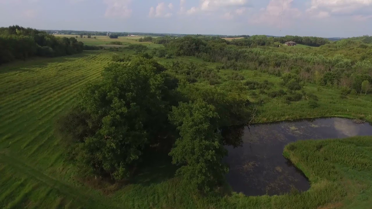 Weiland Family Tree Farm 2021 - YouTube