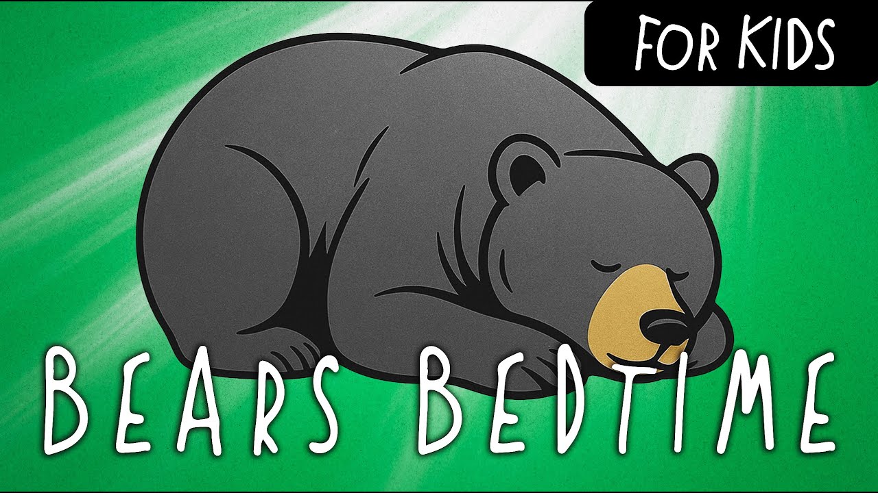 Bear’s Bedtime | Meditative Sleep Story to Help Kids Unwind - YouTube