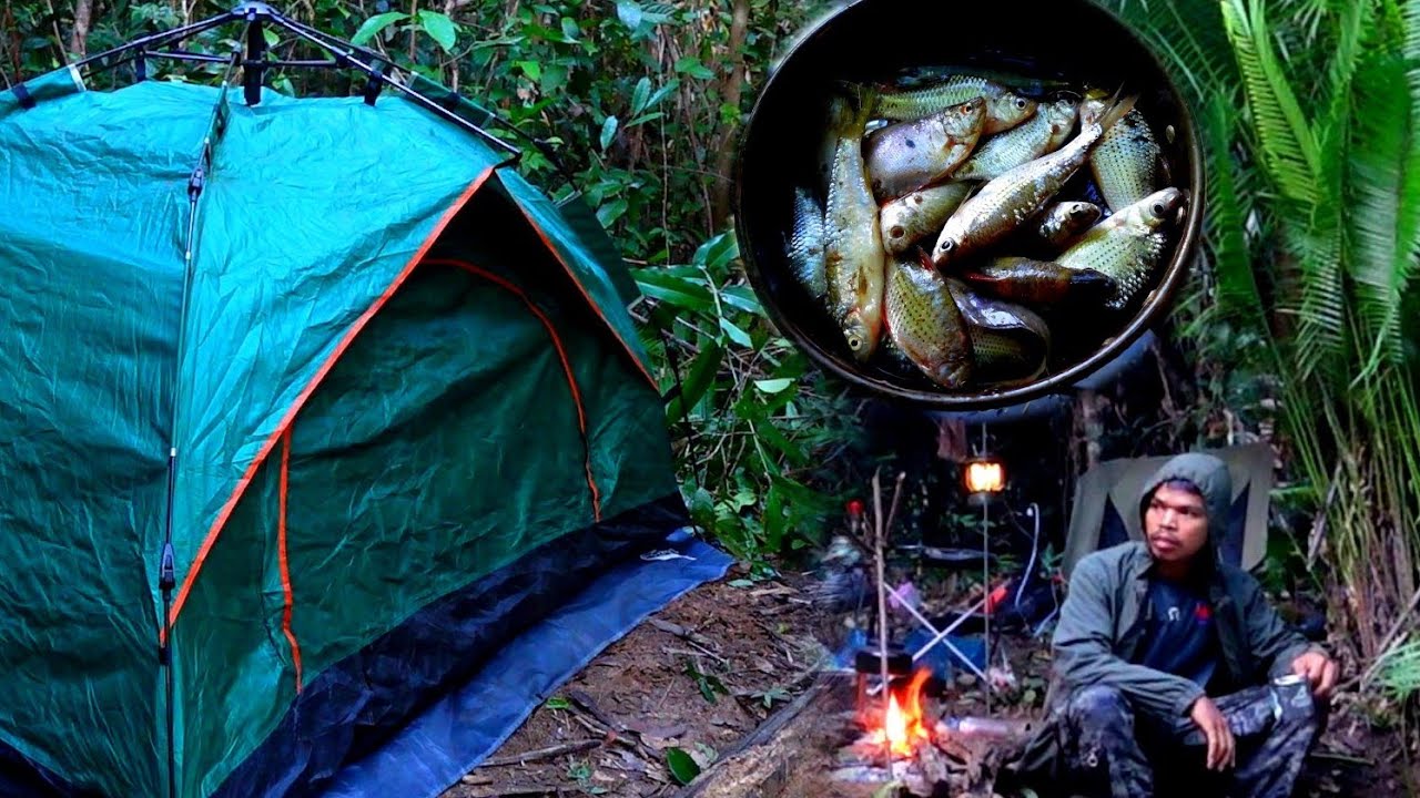 បោះជំរុំនៅមាត់ទឹកដ៏ស្រស់ស្អាត, CAMPING FOR COOKING FISH NEAR THE ...