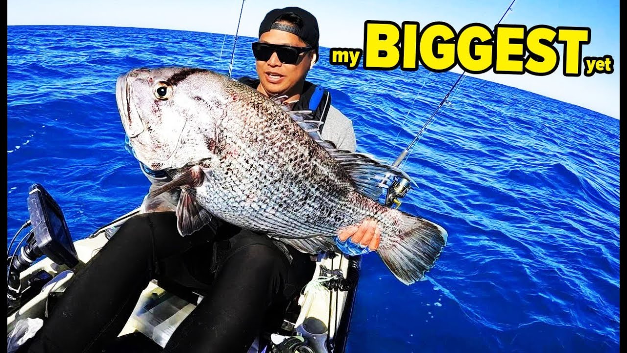 BIG Dhufish in the shallows! Part 2 - YouTube