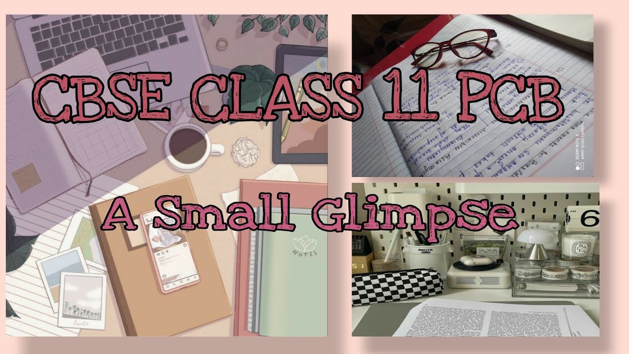 CBSE class 11 PCB| Study vlog| Preparing for half yearly exams| 🌼 - YouTube