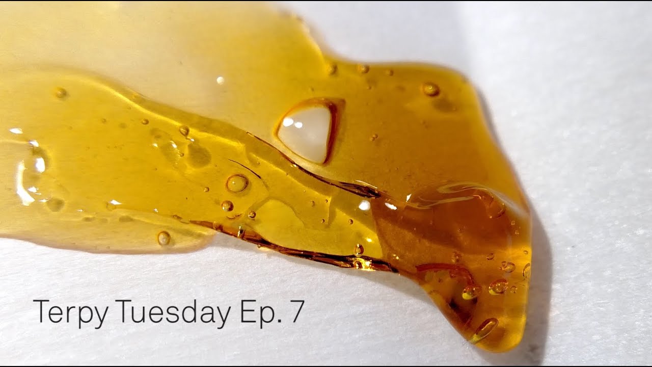 Tahoe OG Live Resin: Terpy Tuesday Ep.7 - YouTube