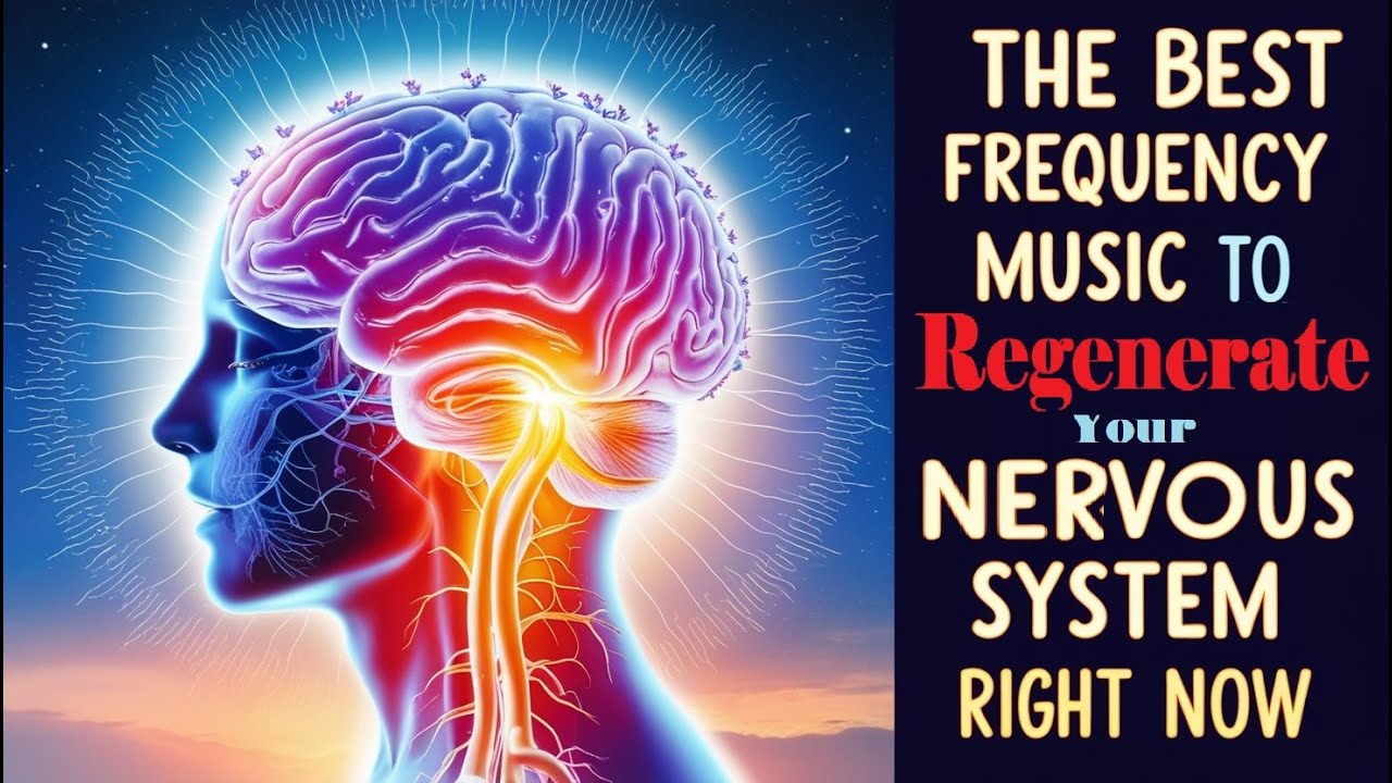 Nervous System Regulation Frequency Music To Calm And Regulate Nervous ...