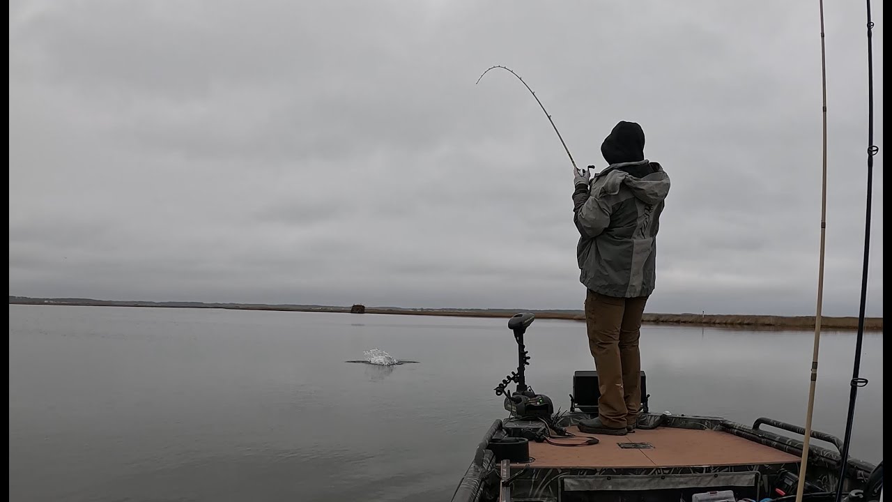 Cold Grey Day, Nice Redfish! - YouTube