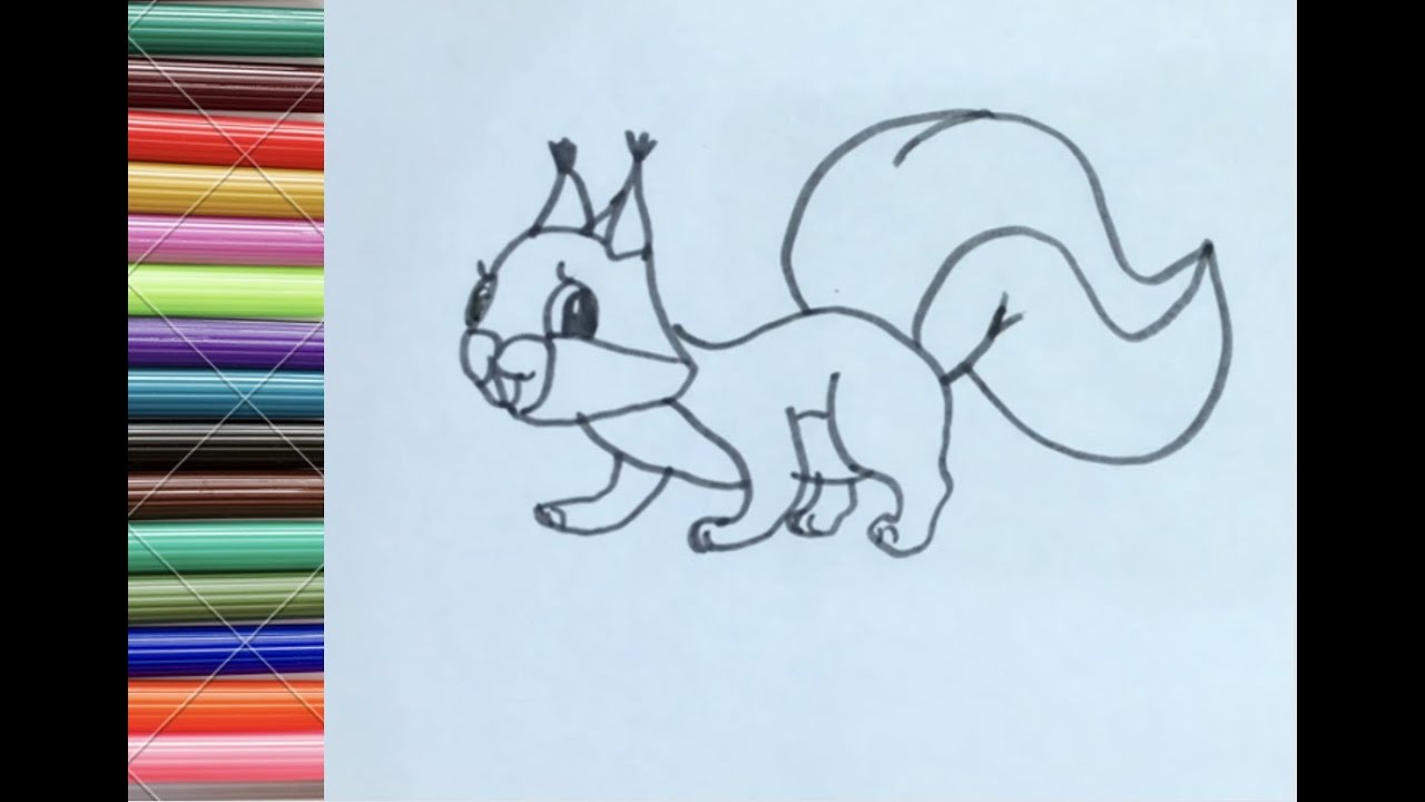 How to draw Squirrel Easy Step by step - YouTube