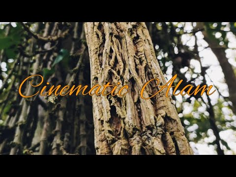 VIDEO CINEMATIC ALAM | HP ANDROID | VLOG DAILY99