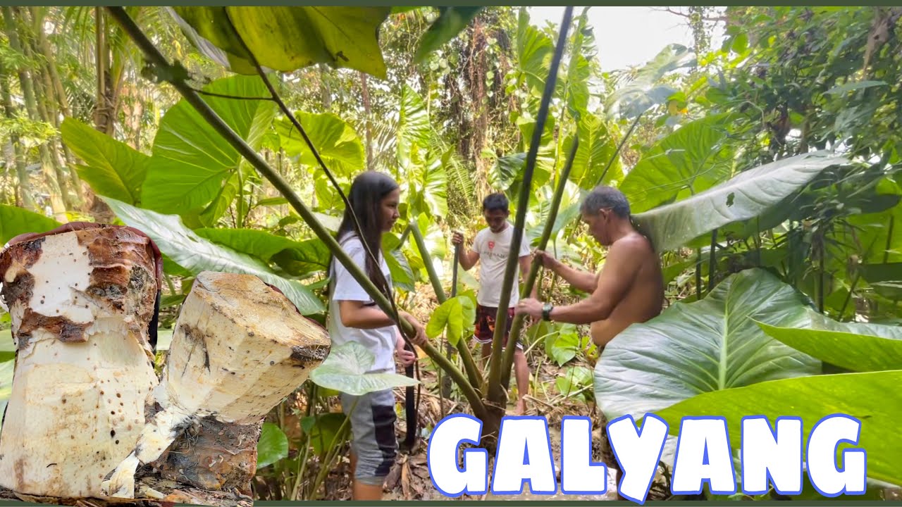 BINAGKAT NA GALYANG | Vlog#61 - YouTube