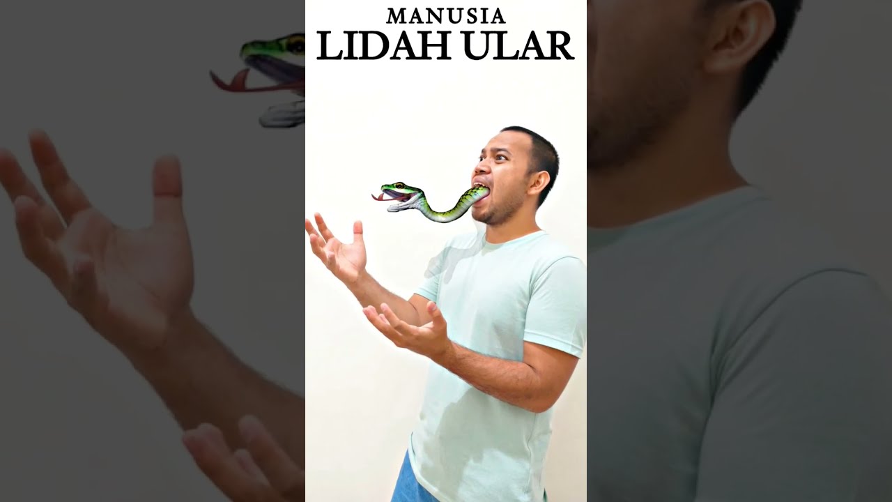 LIDAH ULAR BEGINI CARA BUATNYA #ular #snake #editing #horrorstories ...
