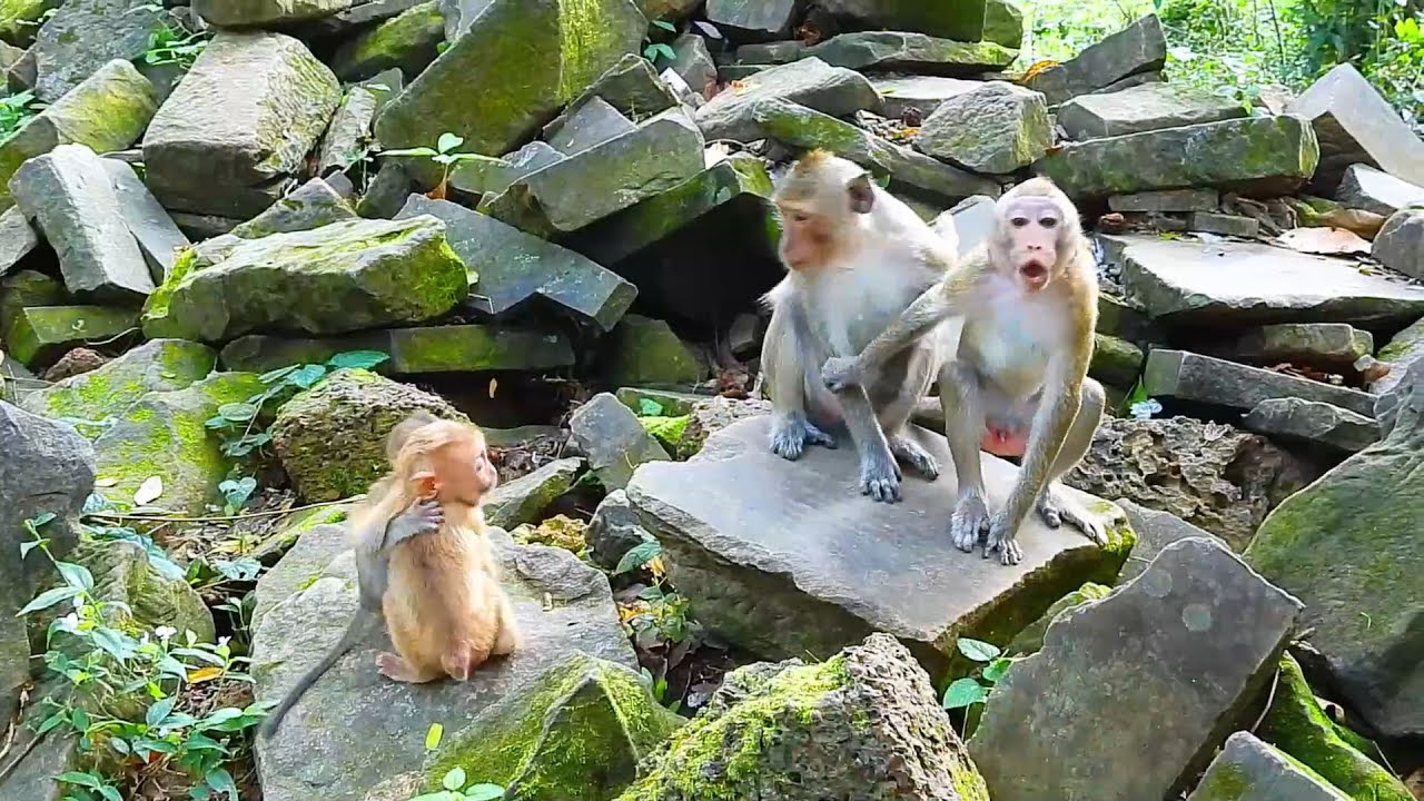 Popoy is very serous sometimes he stays with Amber many friends help ...