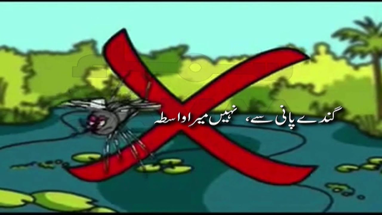 Dengue Poem Samaa TV - YouTube