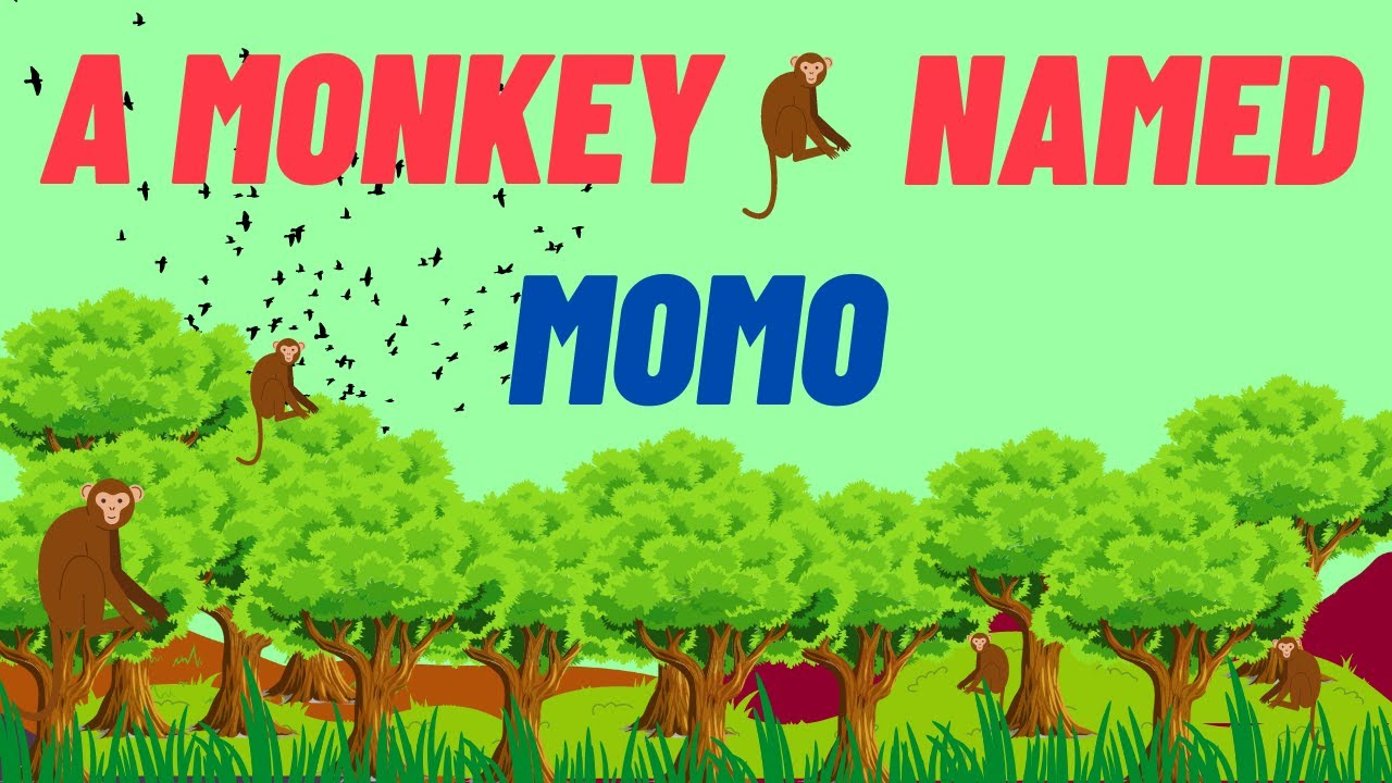 A monkey named momo kids story - YouTube