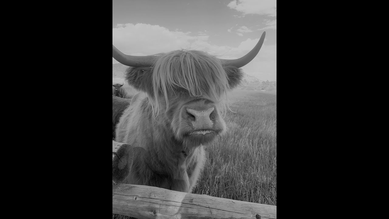 Tula After Hours Pt. 21 - Ad Campaign Inspiration Scene 1 - YouTube