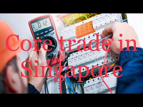 Electrical wiring installation/ Core Trade/ multi skill/ four year ...