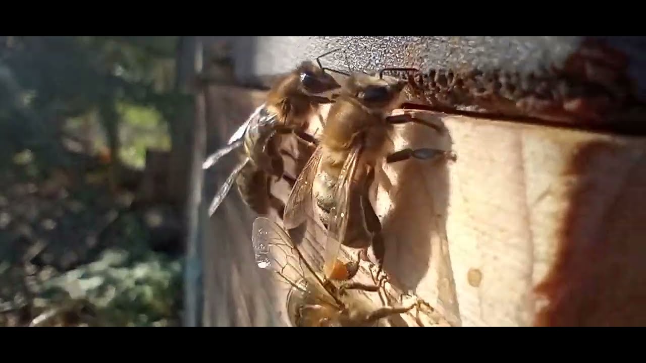 first warm sun out - YouTube