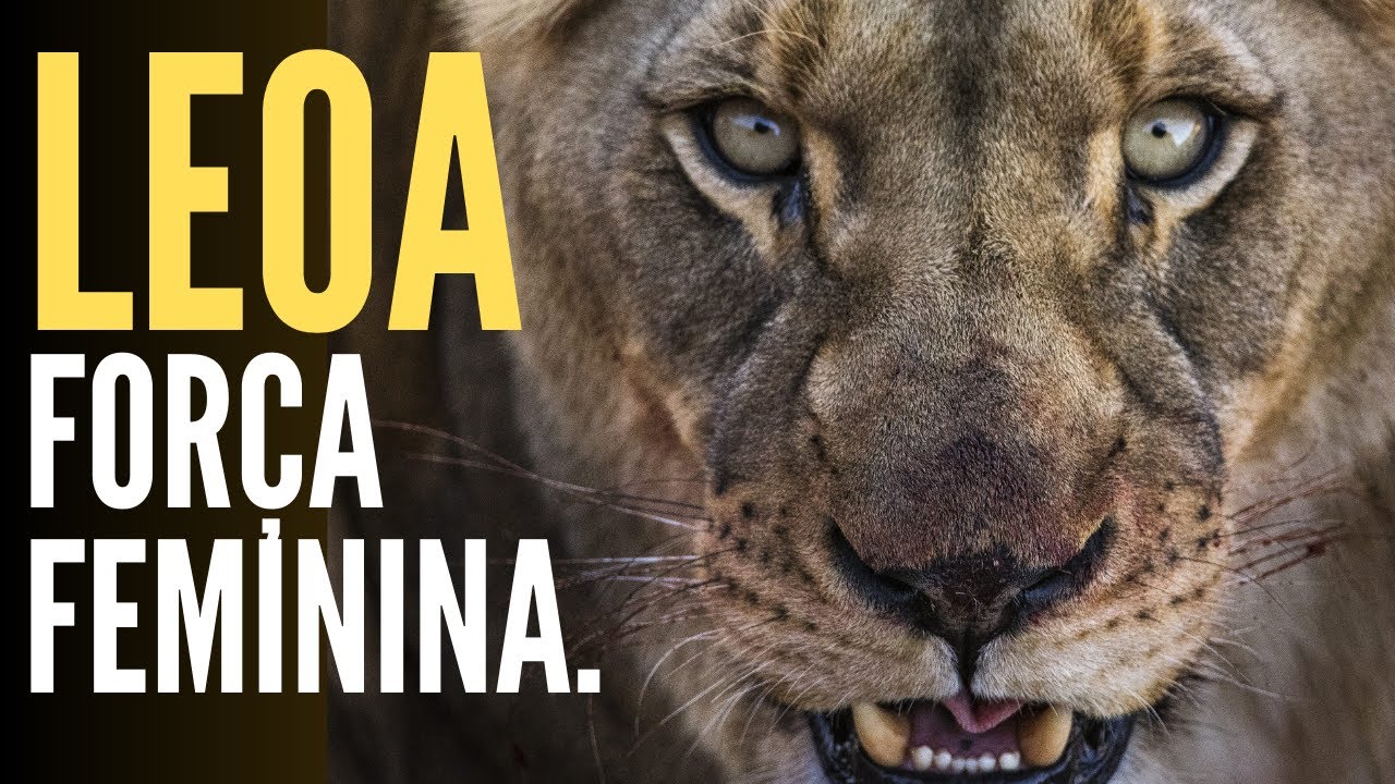 Leoa Arquétipo da Mulher Estratégica. Seja a Líder. - YouTube