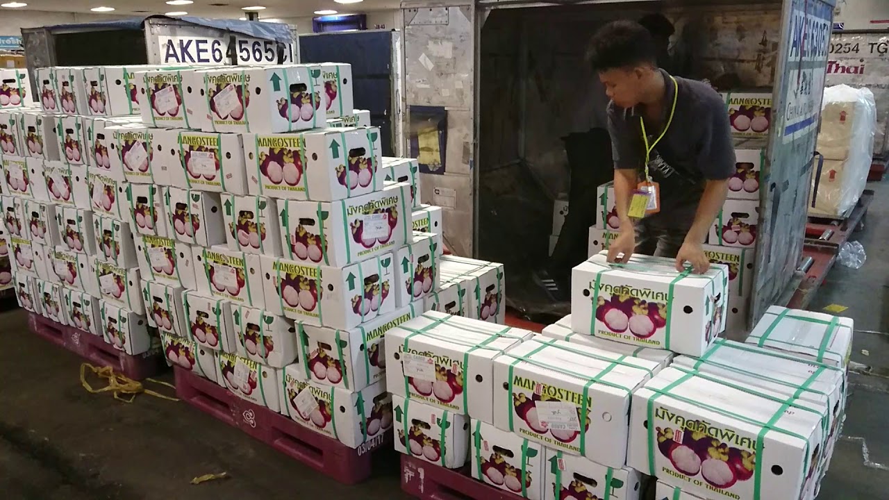 EXPORTING MANGOSTEEN BY AIR FREIGHT 4 TONS - YouTube