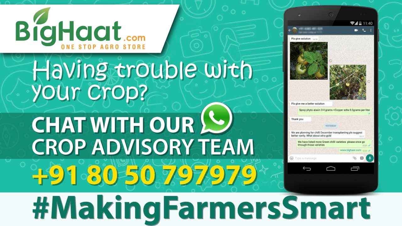 BigHaat Crop Advisory - Chat with Experts - YouTube