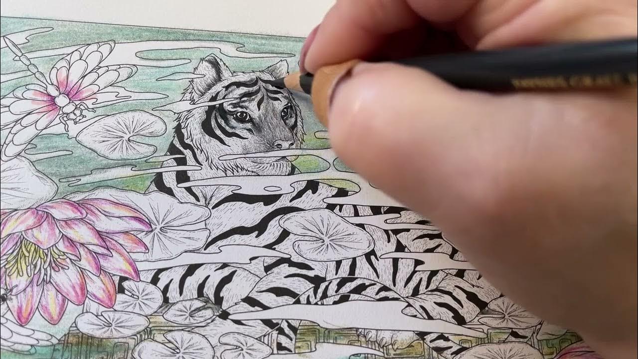 Mythographic Magical Earth | Tiger Page | Part 4 - YouTube