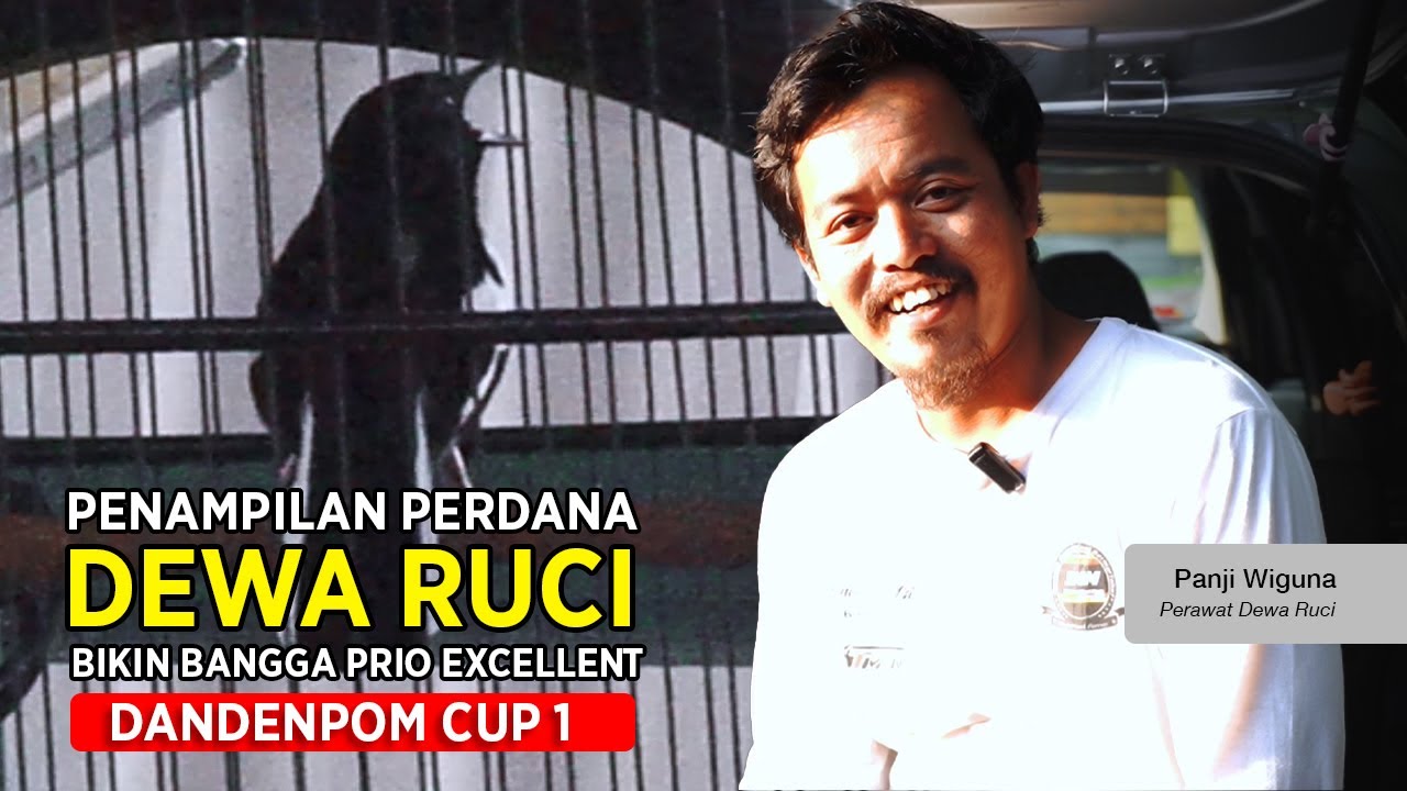 [ Kacer DEWA RUCI ] Perdana Tampil Nyaris Hatrik !! Bikin Bangga Prio ...