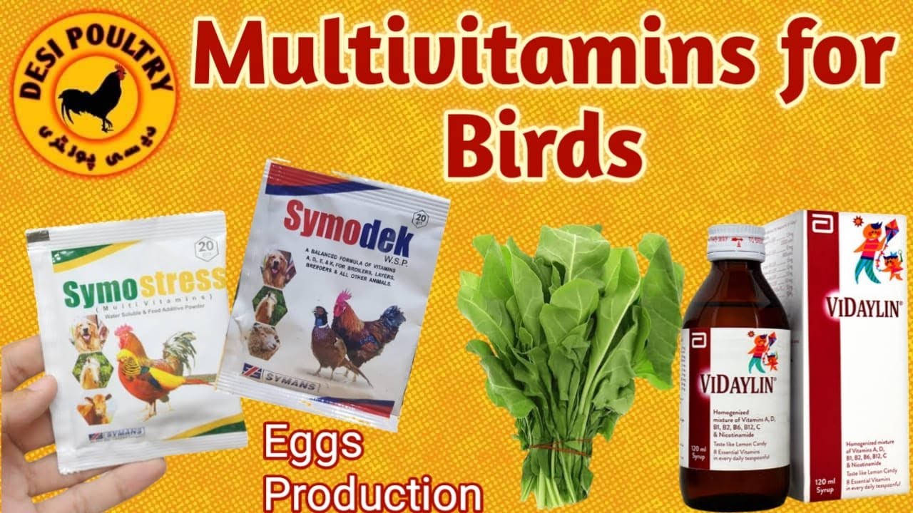 Multivitamins for Poultry Birds | Vitaminn Source Vidaylin Syrup ...