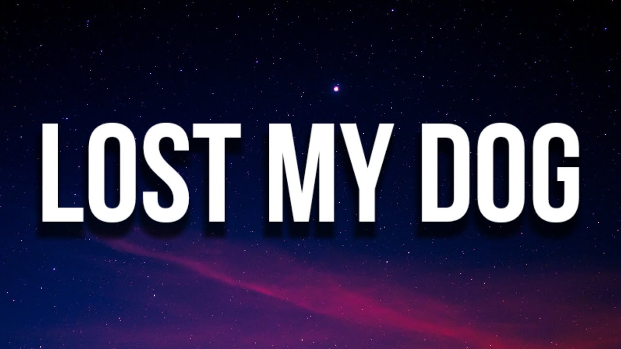 Future - LOST MY DOG (Lyrics) - YouTube