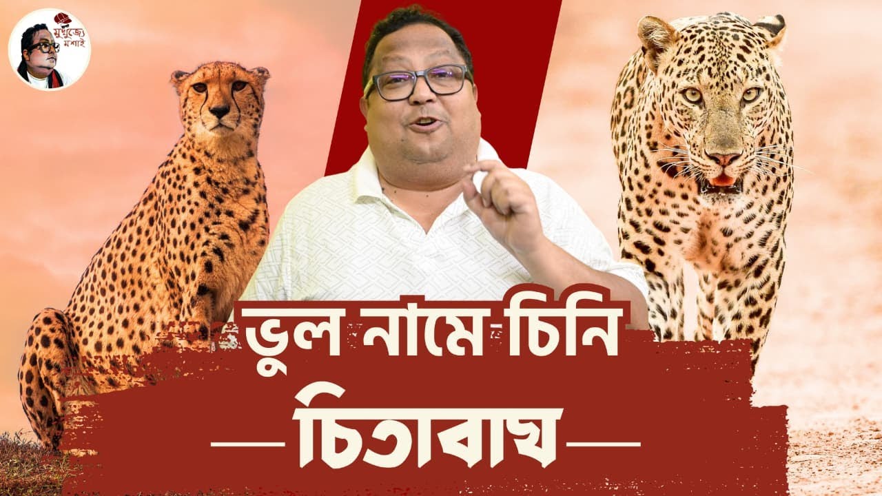 ভুল নামে চিনি — চিতাবাঘ | চিতা বনাম চিতাবাঘ | Leopard এর বাংলা কী ...