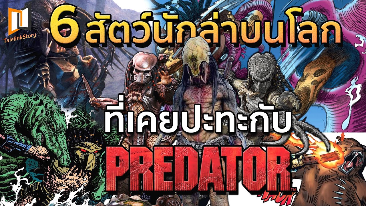 6 สัตว์นักล่าที่เคยสู้กับ PREDATOR - YouTube