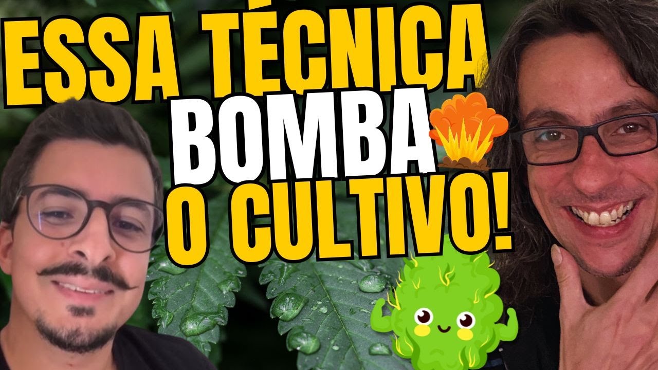 Técnicas de Cultivo, Manejo do Dia-a-Dia, Observação e Ben Grower Os ...