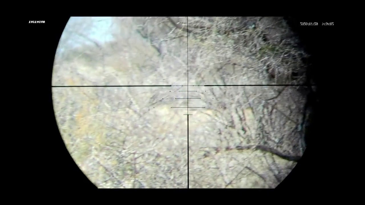 Springbuck Culling with #tactacam - YouTube