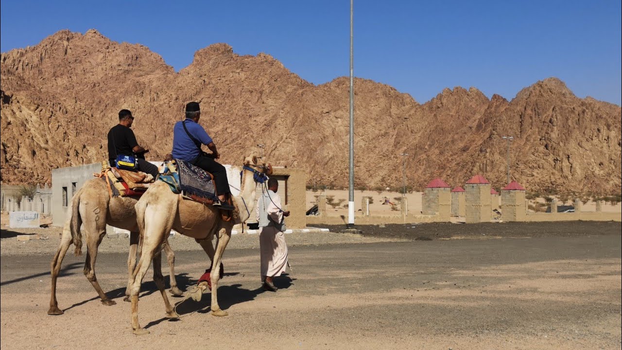 PENGALAMAN MENAIKI UNTA DI BUKIT MAGNET MADINAH - 19 OKTOBER 2022 - YouTube