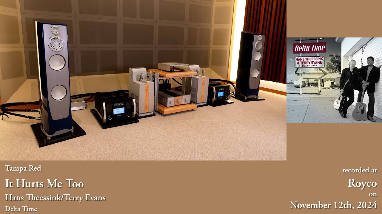 Hans Theessink - It Hurts Me Too ~ Paradigm Persona 7F | McIntosh MC451 ...