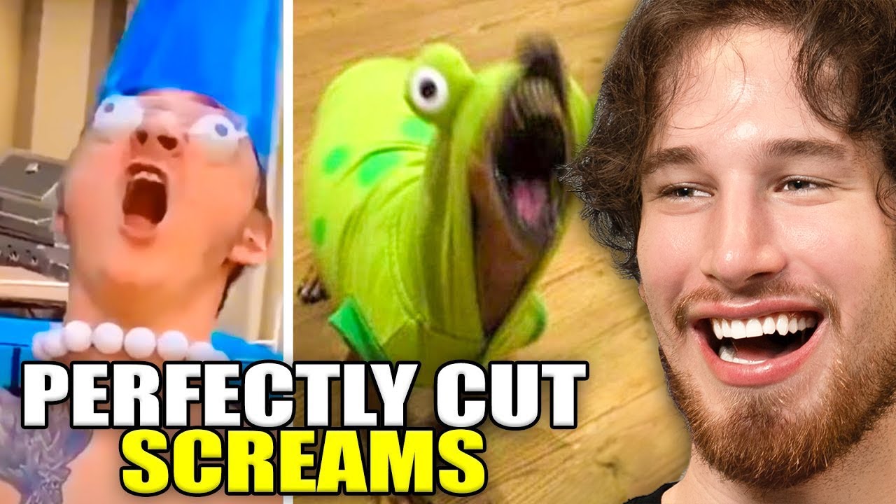 the MOST HILARIOUS PERFECTLY CUT SCREAMS (memes) - YouTube
