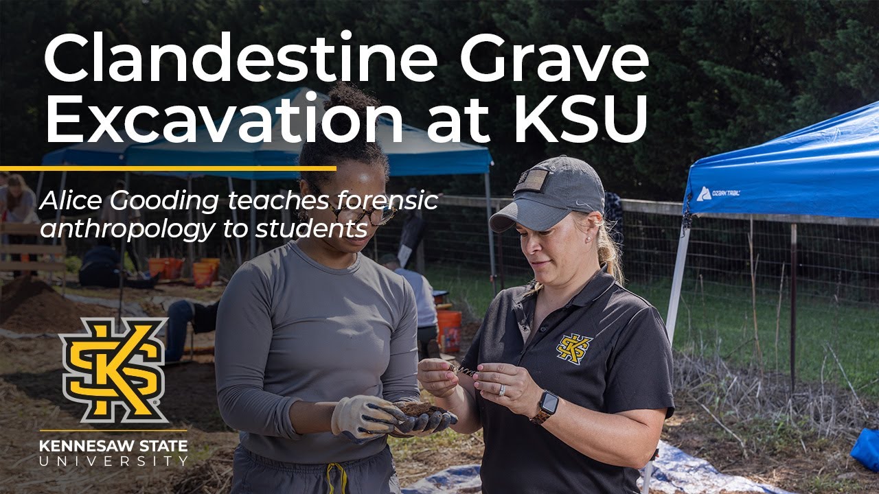 As An Owl: Alice Gooding - YouTube