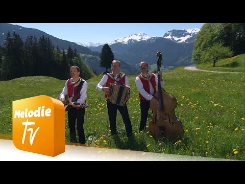 Zellberg Buam - Zillertaler Sommer (Offizielles Musikvideo)
