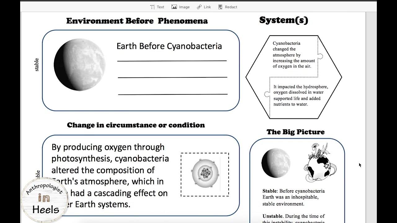 Coevolution and Earth Systems - YouTube