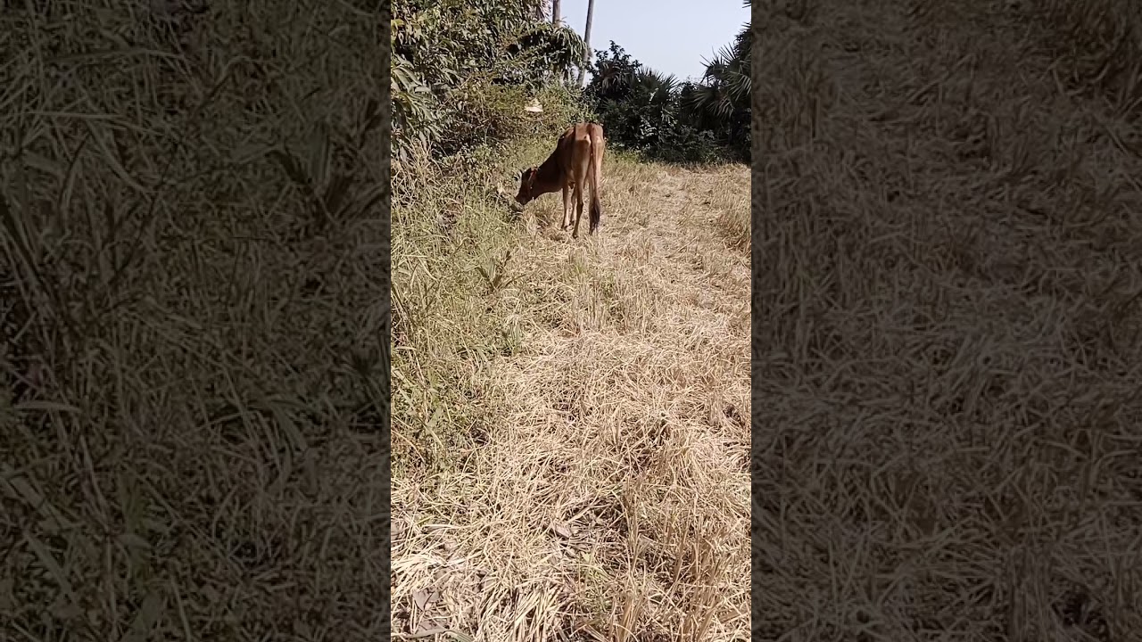 November 30, 2021 - YouTube