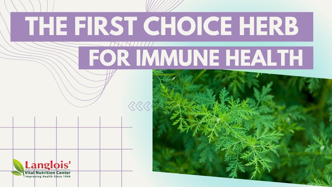 The First Choice Herb for Immune Health - YouTube