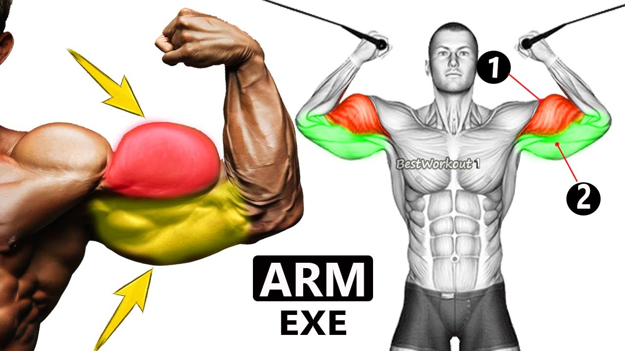 Perfect Arms : A Comprehensive Guide to Building and Defining Arm ...