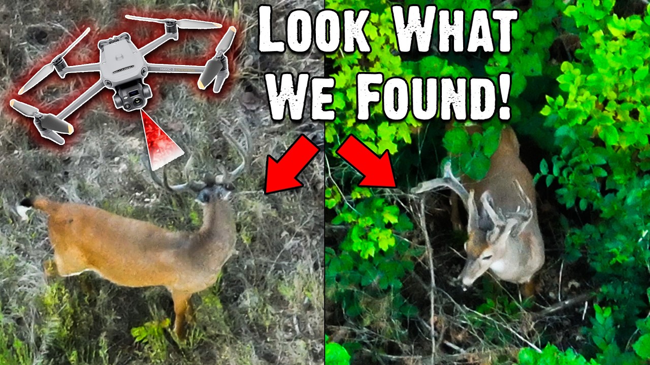 Understanding Deer Movement With A Drone | We Found Our Hit List Buck ...