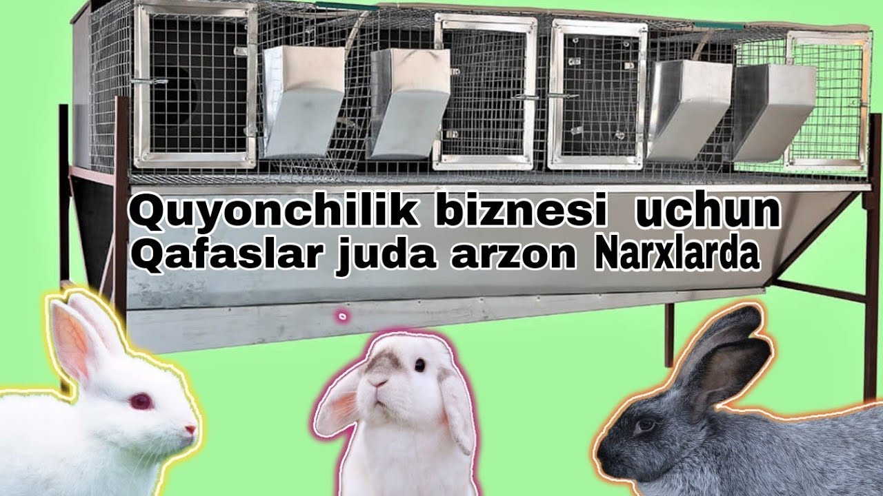 Quyonchilik biznesi uchun qafaslar egadan arzon narxlarda sotiladi ...
