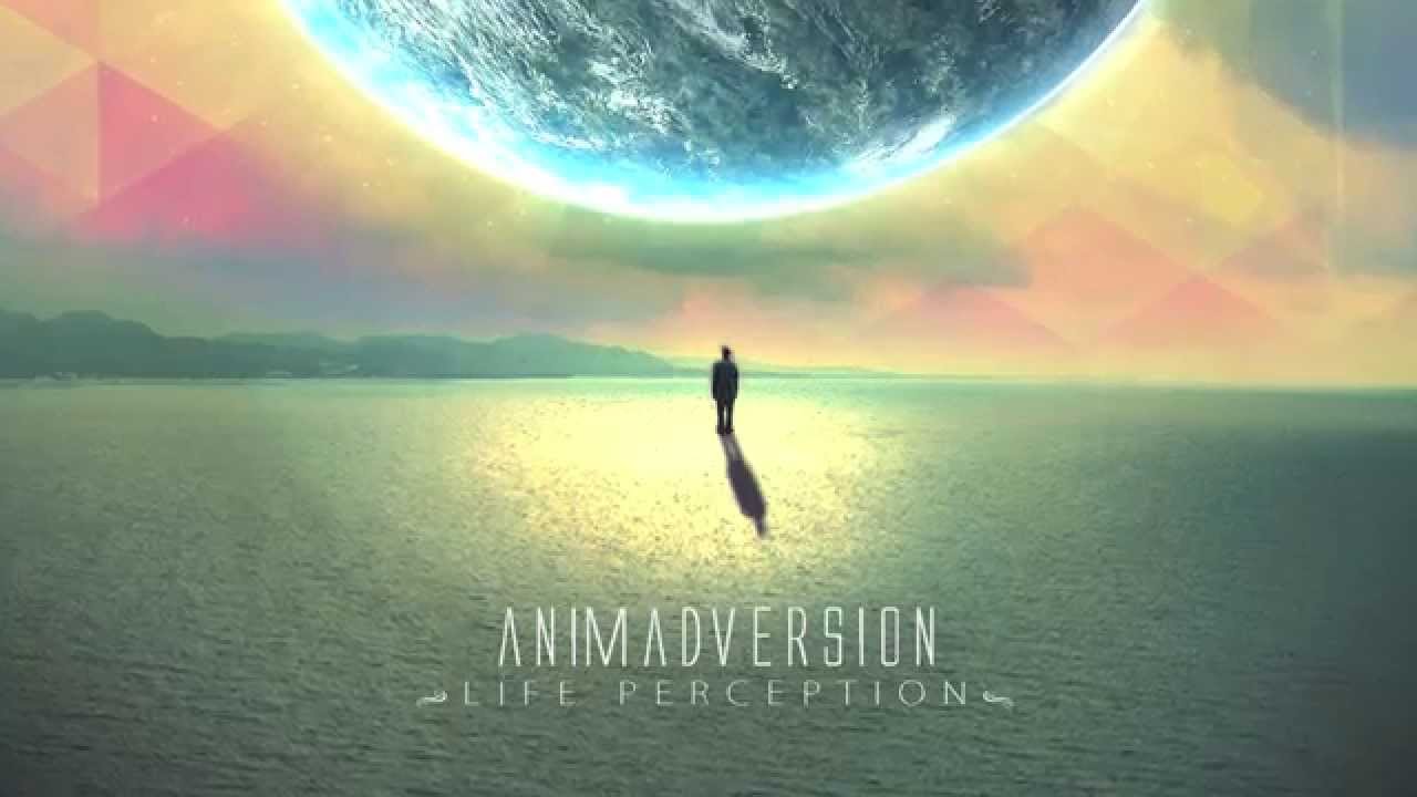 Animadversion / Life Perception / EPK - YouTube