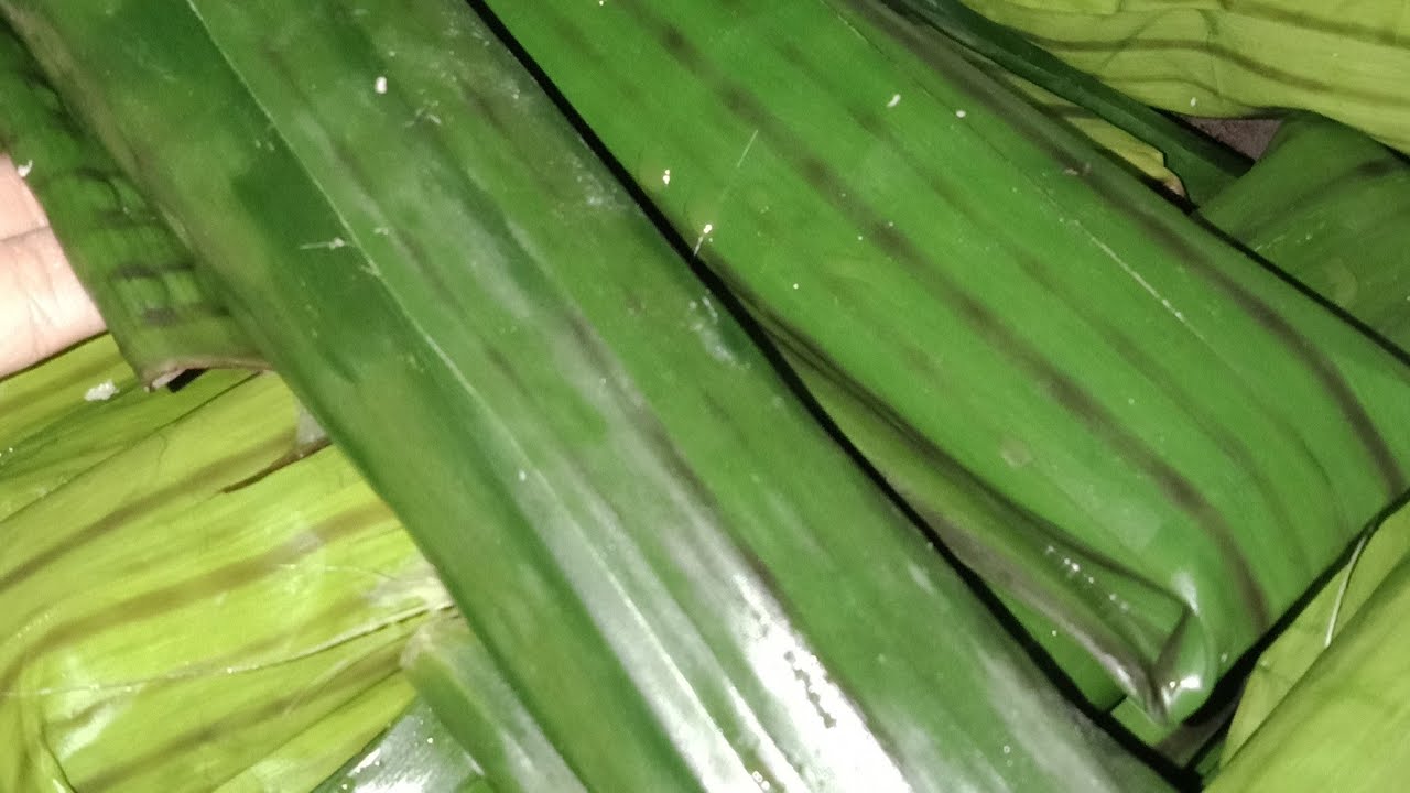 Nilidgid | Amy Tocmo - YouTube