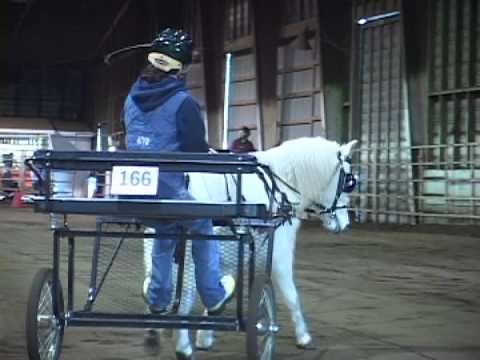 Introduction to the Sport of Carriage Driving - YouTube